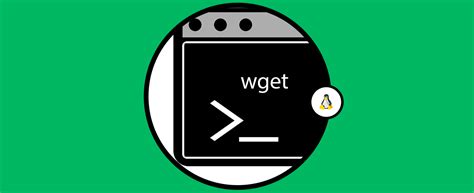 Cómo Instalar Wget En Linux Ubuntu Centos Debian Fedora Solvetic