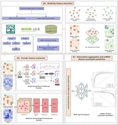 Dgnmda Dual Heterogeneous Graph Neural Network Encoder For Mirna