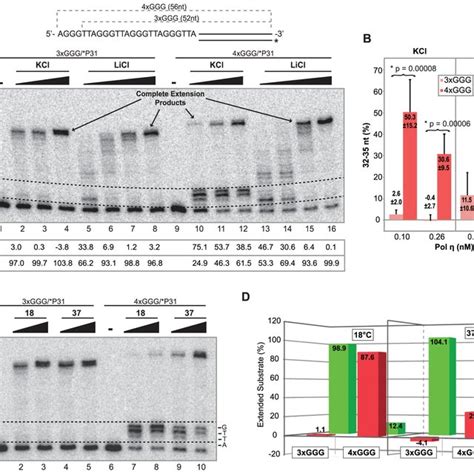 G Quadruplex Structure A Structure Of A G Quartet In The Presence Of Download Scientific