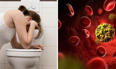 Winter Bug Warning Public Urged To Be On Extreme Alert For Highly