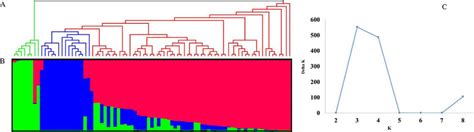 Population Structure Analysis Of 82 Hydrangea Macrophylla Cultivars Download Scientific Diagram