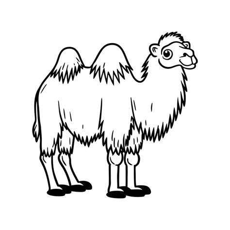 Majestic Bactrian Camel After Migration 58116280 Vector Art At Vecteezy