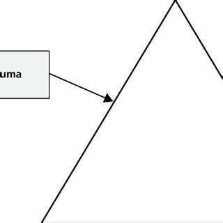 The Cognitive Triangle Download Scientific Diagram