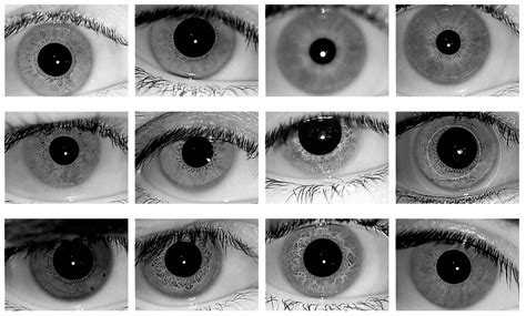 Indigenous Datasets A Listing To Help Ai Perform Better In India