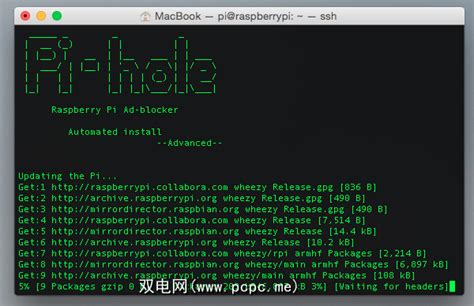Adblock无处不在：raspberry Pi Hole方式 双电网pcpcme