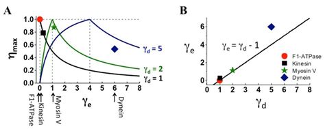 Efficiency Energy Partition Relation Panel A And Energy Partition Download Scientific Diagram