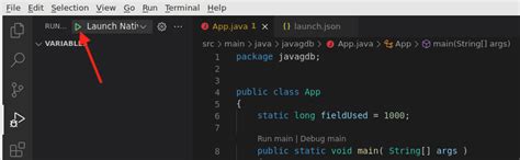 Graalvm Native Image Debugging