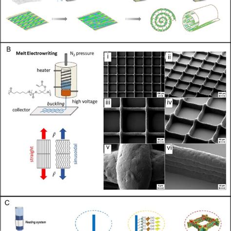 Examples Of Melt Electrowriting Approaches Applied For Te Of Muscle Download Scientific