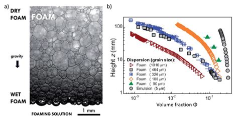 6 A Example Of A Liquid Foam Floating On Top Of Its Foaming Solution Download Scientific