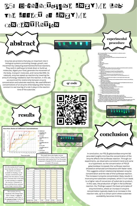 Enzyme Poster 2 Nothin Much Engl 3323 Studocu