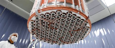 How To Breed A Pomsky And Other Questions About Dogs And Sex Quanta