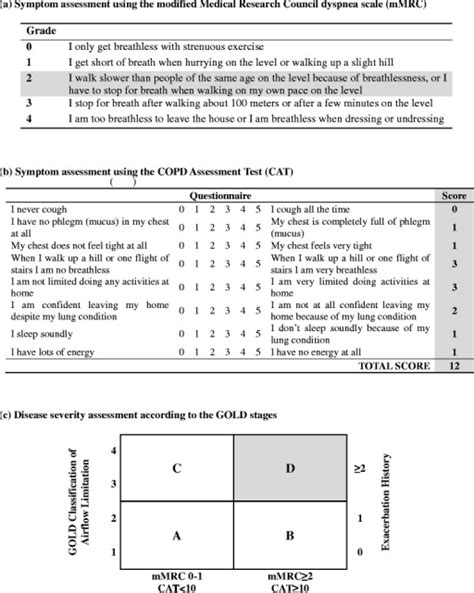 Copd Severity Scale