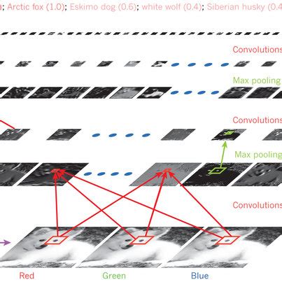 PDF Deep Learning