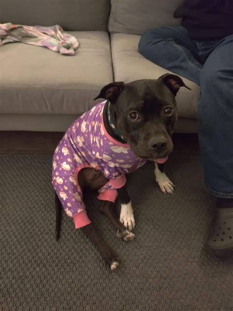 She Was Getting Chilly At Night Now That Its Getting Colder These Are