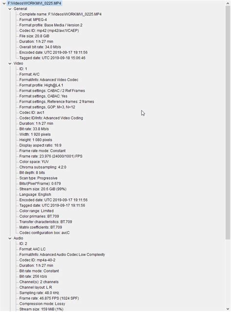 Premiere Pro Cc 2019 Stuttering Playback Adobe Product Community