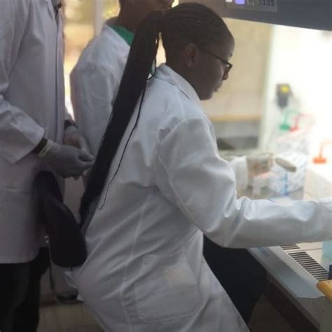Sample Preparation And Testing Chromafrica Instrumentation Services
