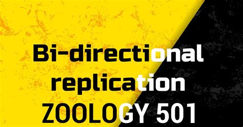 Bidirectional Replication Dna Replication Molecular Biology Zoology