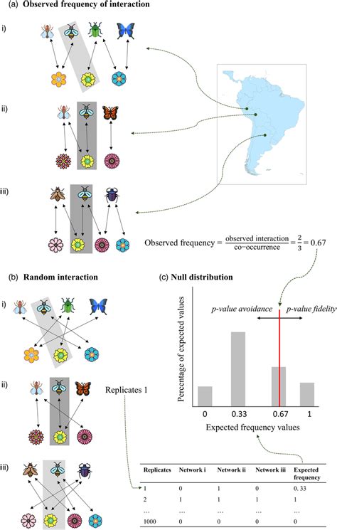 quantitatively assessing interaction fidelity and interaction