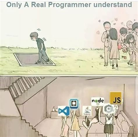 Only A Real Programmer Understand Rprogrammerhumor