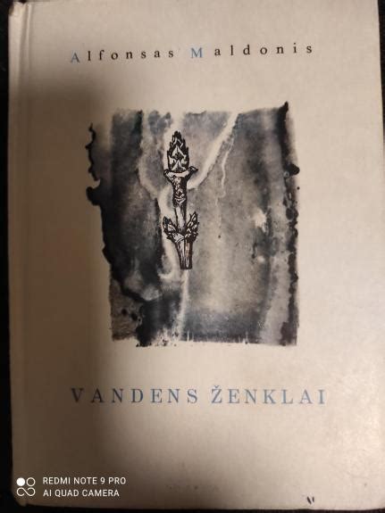 Vandens ženklai Alfonsas Maldonis Knyga