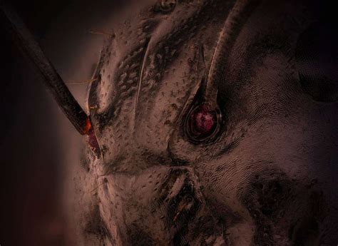 Brutálisan Néz Ki A Hangya Igazán Közelről Techworld