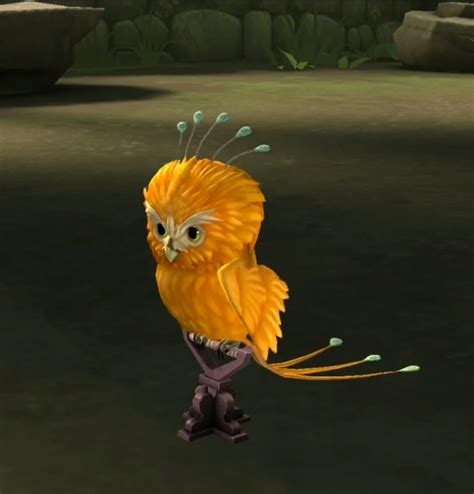 Fwooper Harry Potter