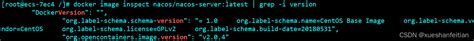 docker学习笔记 三 docker查看容器内软件详情 查看docker中安装的软件 csdn博客