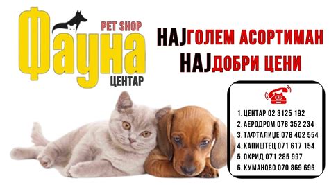 Ashaya Exclusive Поради зголемен обем на работа салонот за груминг на миленици Ашаја