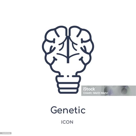 인공 Intellegence 미래 기술 개요 컬렉션에서 선형 유전 수정 아이콘 가는 선 유전자 변형 벡터 Dna에 대한 스톡 벡터 아트 및 기타 이미지 Istock