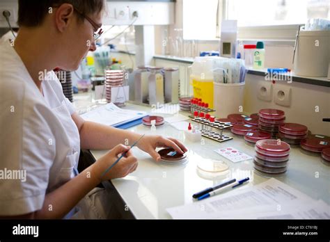 COAGULASE TEST Stock Photo Alamy