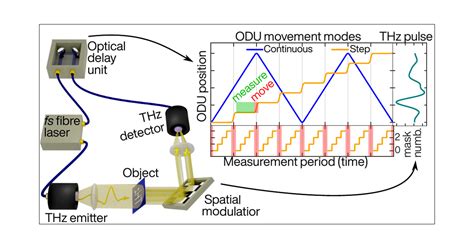 Rapid Imaging Of Pulsed Terahertz Radiation With Spatial Light Modulators And Neural Networks