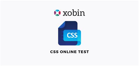 Css Online Test Pre Employment Assessment By Xobin
