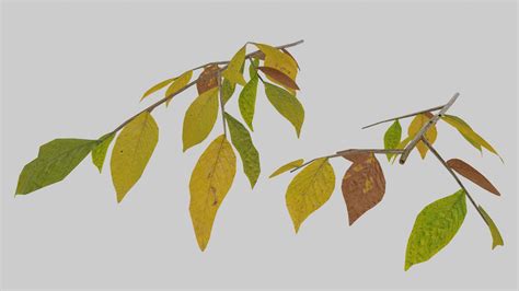 3d Model Tree Collection Blender Sapling Turbosquid 1722158