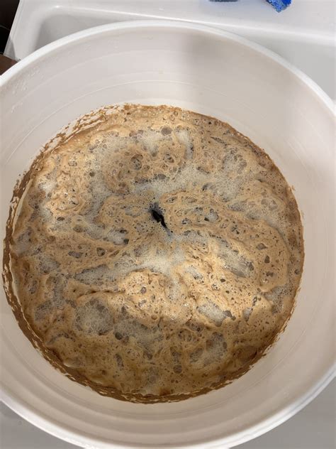 Concerned Infection Homebrew Talk Beer Wine Mead And Cider