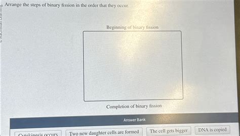 solved arrange the steps of binary fission in the order that