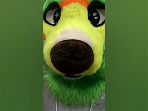 ФУРРИ ЯВЛЕНИЕ #фурри #fursuit #фурсьют #врчат #furry - YouTube