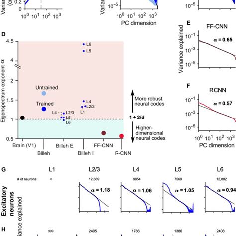 Comparing The Eigenspectrum Of Neural Codes In The V1 Model Of 1 With
