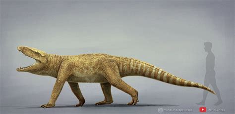 Barinasuchus By Mariolanzas On Deviantart