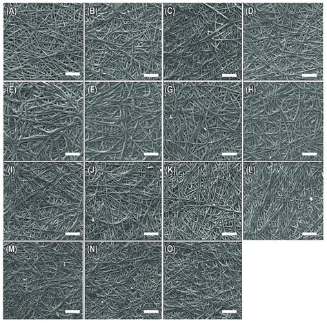 Sem Micrographs Of Mineralized Collagen Comparing Four Types Of