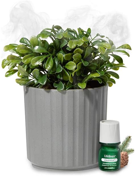 Lifelines Plant Diffuser With Modern Planter Boxwood