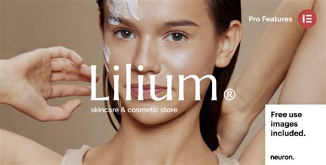 Neuron Themes Creating The Future Of Wordpress Themes