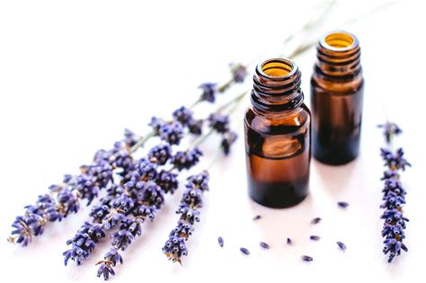 Olfactory Training Can Improve Cognitive Function And Overall Well Being In Older Adults