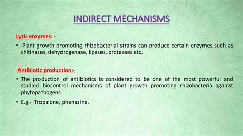 Plant Growth Promoting Rhizobacteria Pptx