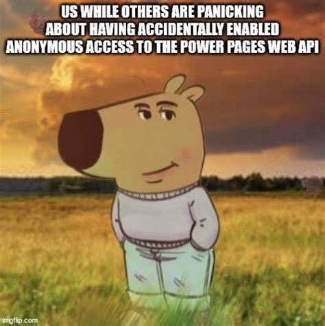 Engineered Code Consulting Inc On Linkedin Powerpages Alm Powerplatform