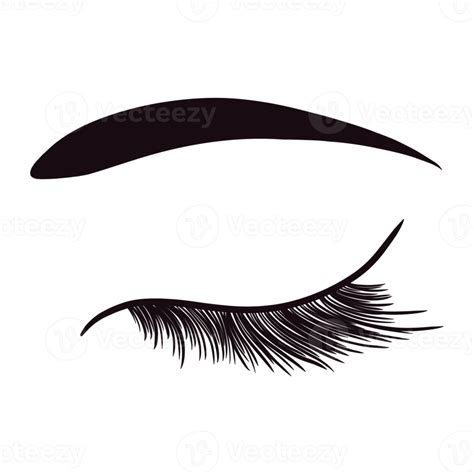 Woman Eyes Lashes Brows 22944578 Png