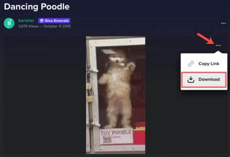 How To Save Animated S To Mobile And Computer