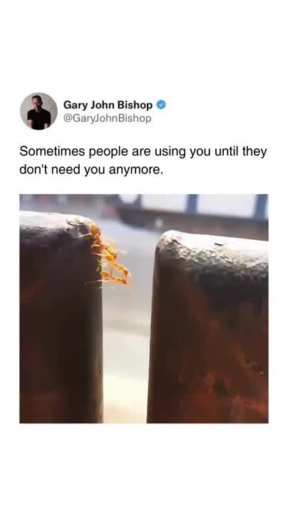 Video Muhammad Yousuf Ali Posted On Linkedin