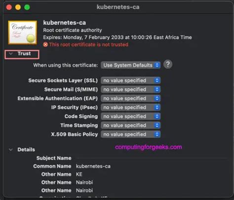 How To Expose Ansible AWX Service Using Nginx Ingress ComputingForGeeks