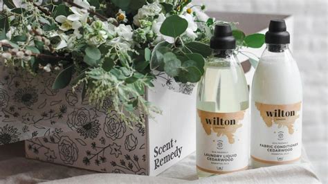 Green Lies The Most Infamous Greenwashing Examples Revealed