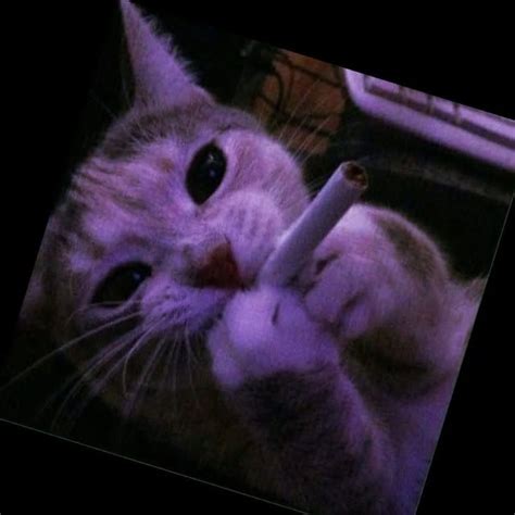 Manuel Rojas Manuel Rojas Yaya Threads Say More